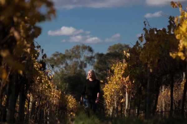 Lobethal Road - hometipple