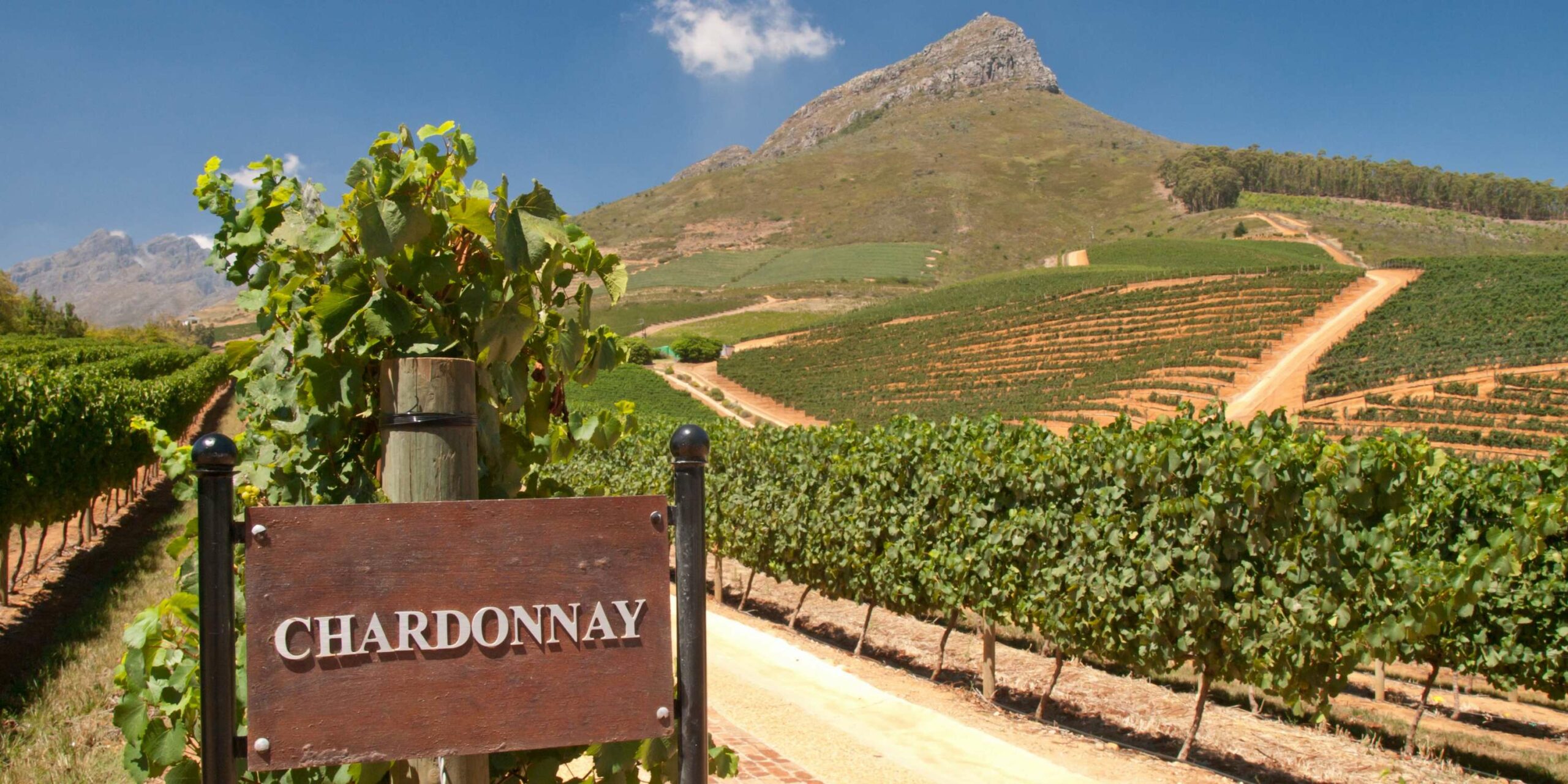 The Many Faces of Chardonnay - hometipple - blog